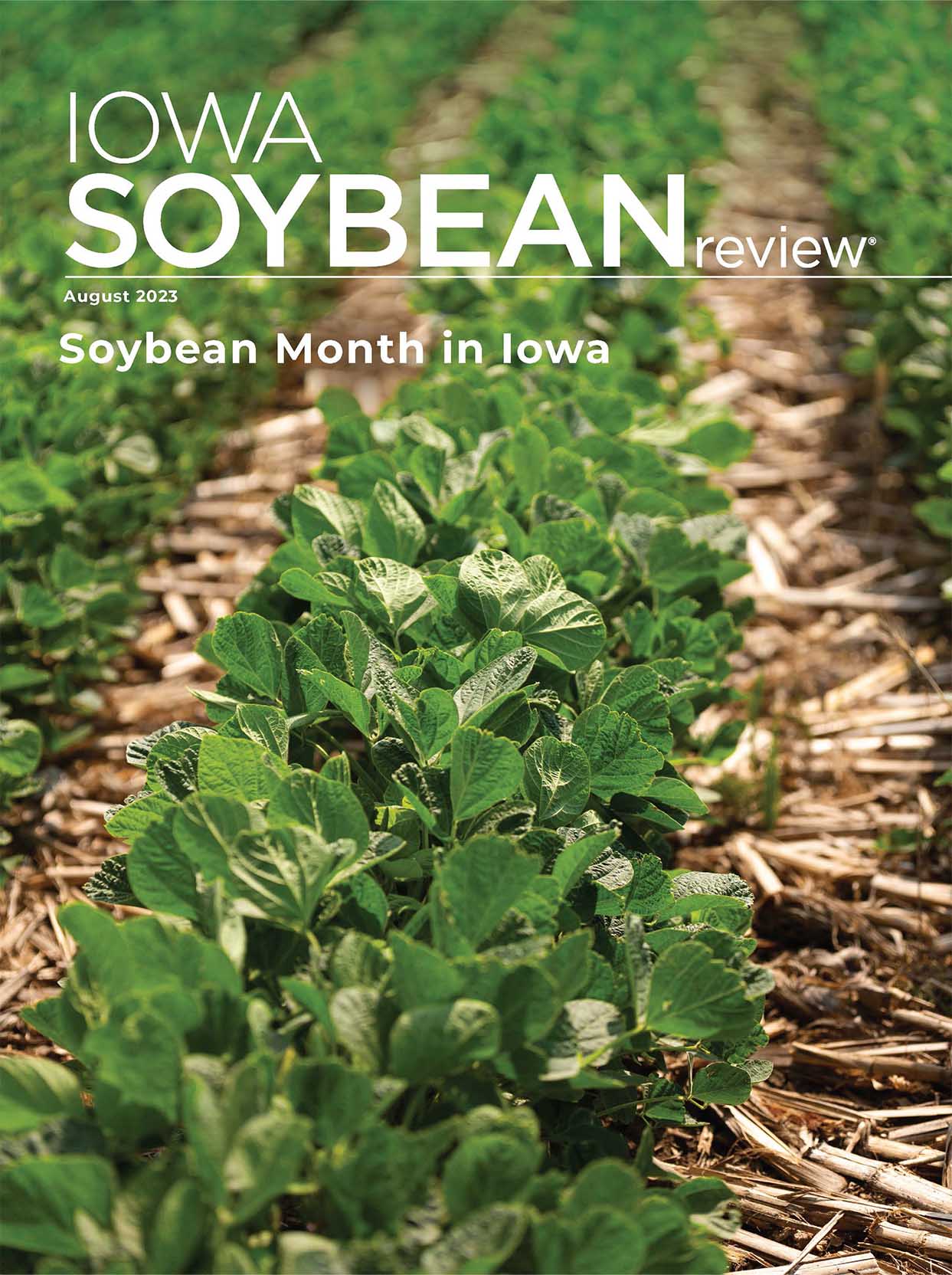 Iowa Soybean Review | August 2023
